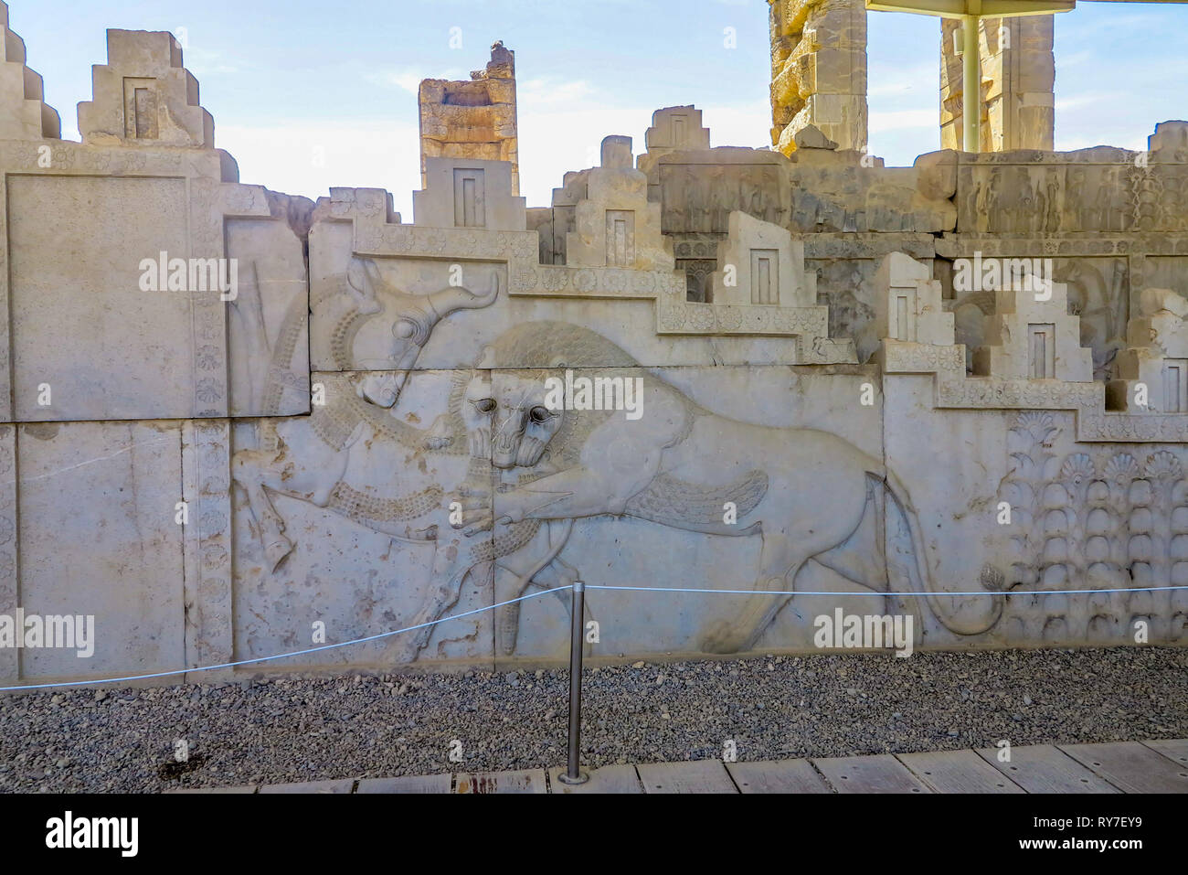 Persepolis Historical Site Wall Carving of a Lion and Bull Combat ...
