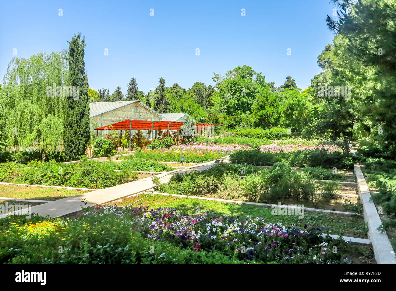Shiraz Bagh-e Eram Garden Different Flowers Plants and Trees Stock ...
