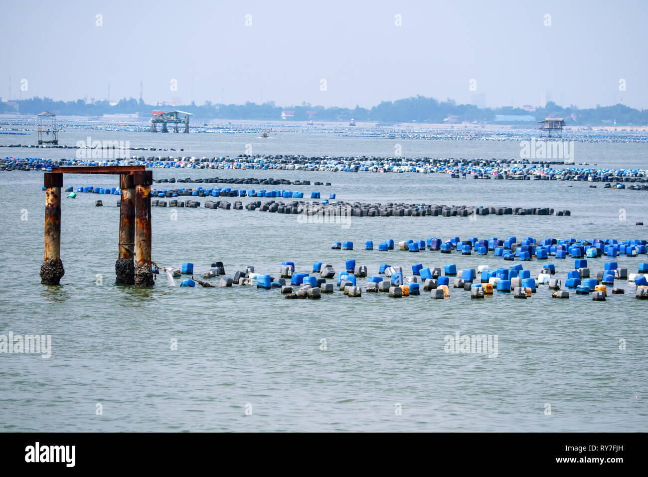 The mussels are made from plastic buckets and come with ropes under the ...