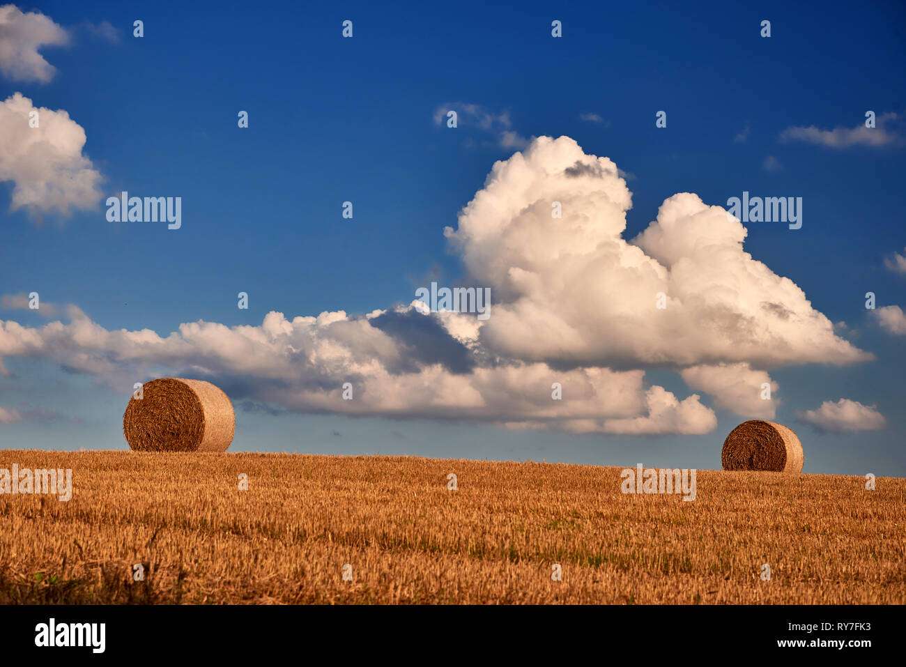 straw bale on field in autumn Stock Photo - Alamy