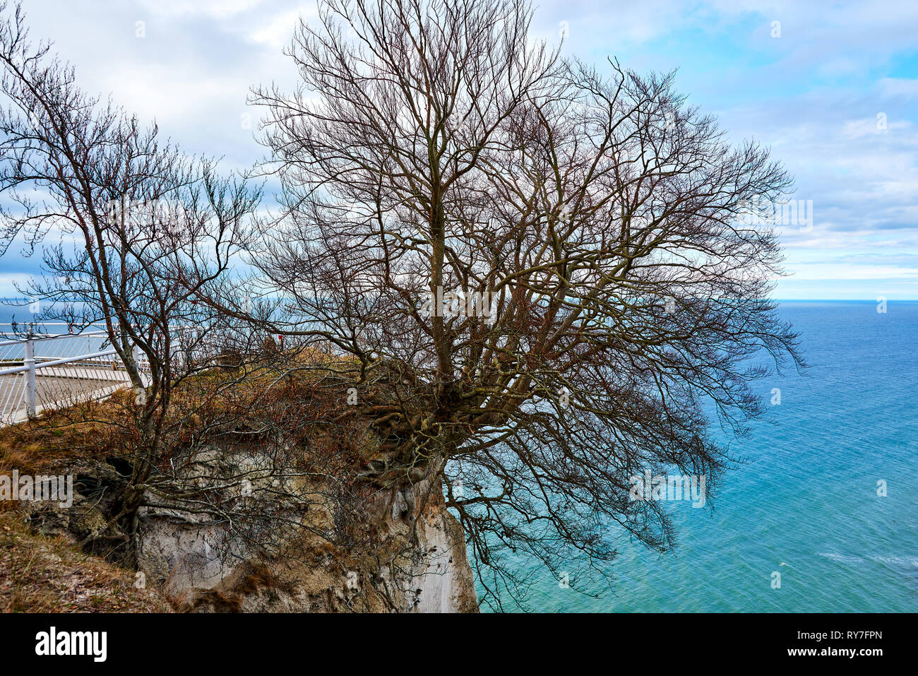 descent of the famous sight of rugia königsstuhl Stock Photo - Alamy