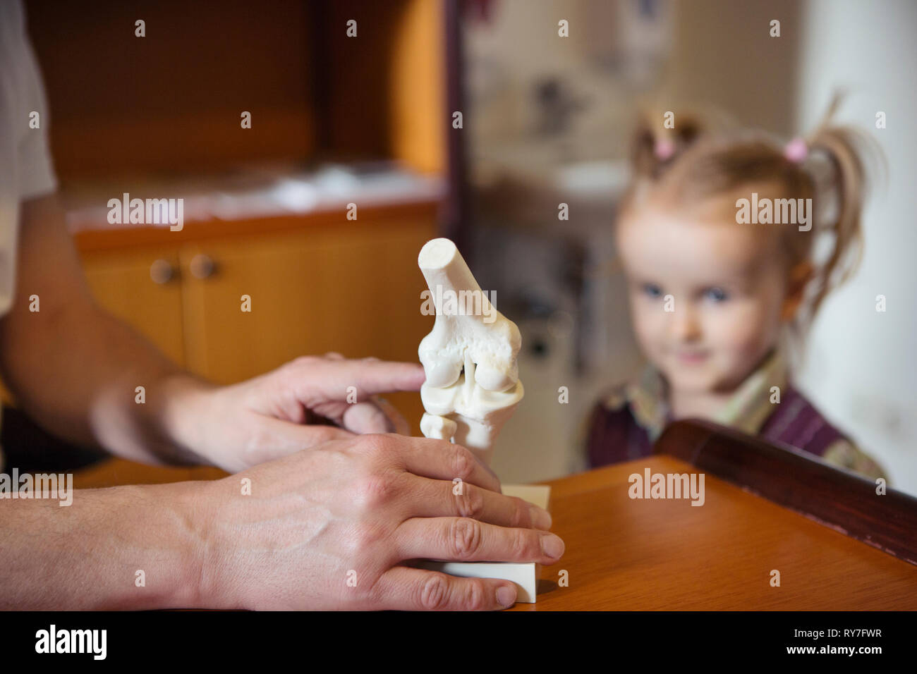 Doctor showing a child a replica model of the bones around a human knee ...