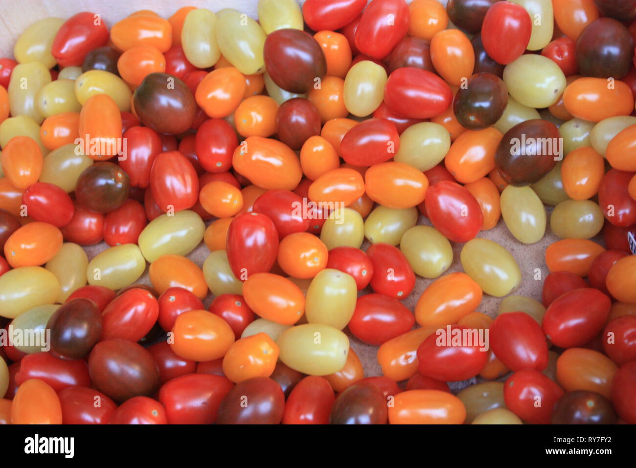Odd Shaped Tomato Stock Photos & Odd Shaped Tomato Stock Images - Alamy