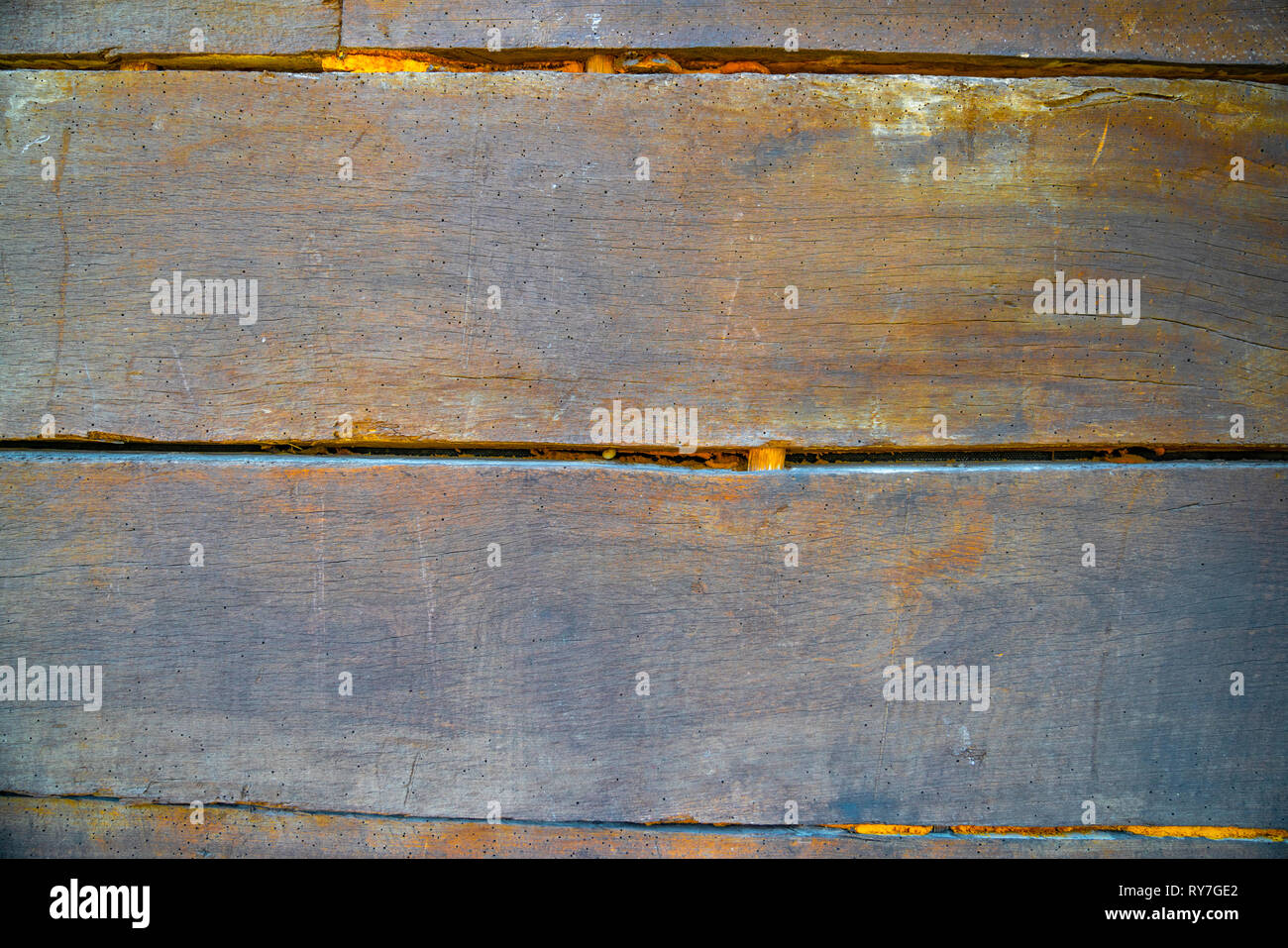 texture of a beautiful wood Stock Photo - Alamy