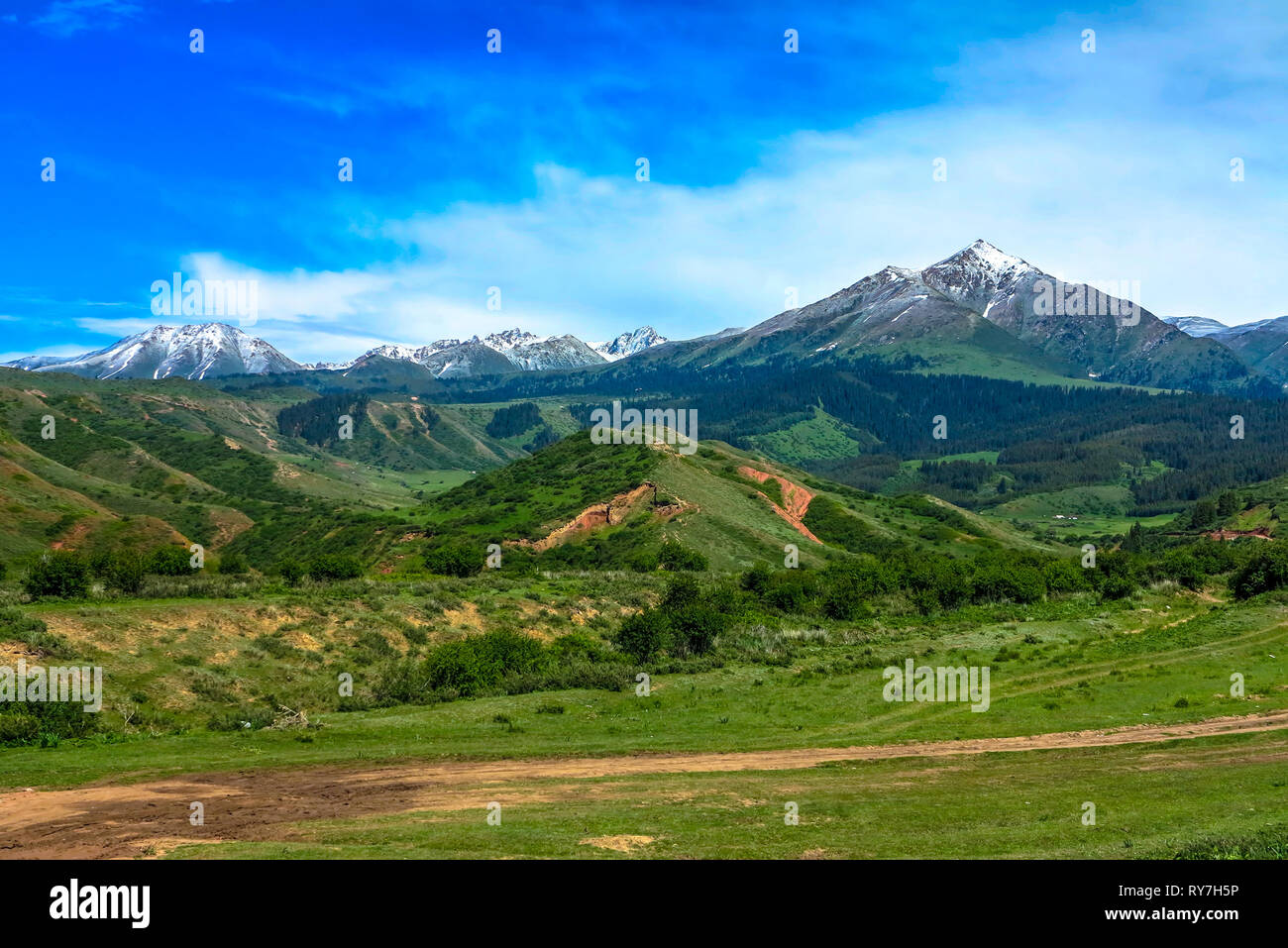 Jeti Oguz Resort Landscape with Forest Terskey Ala Too Mountain Range ...