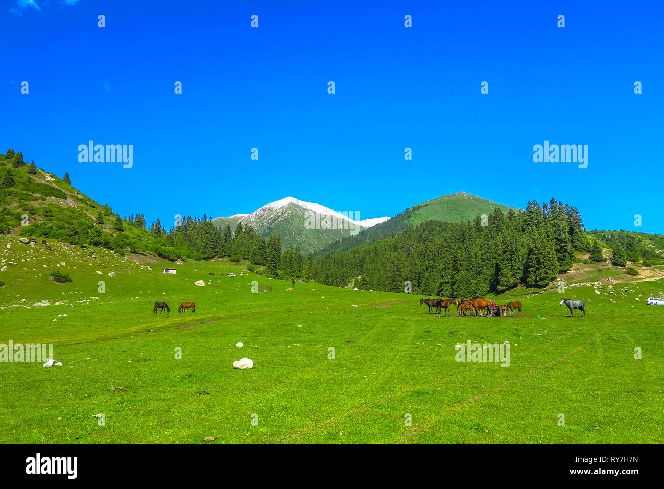 Karakol Gorge Resort with Landscape Snow Capped Terskey Ala Too ...