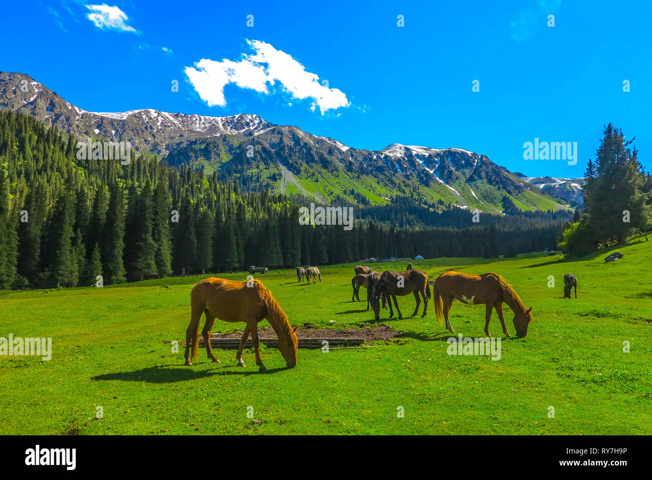 Karakol Gorge Resort with Landscape Snow Capped Terskey Ala Too ...