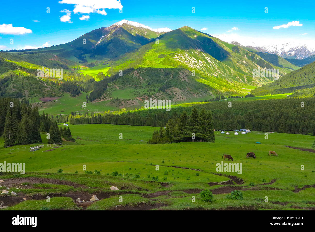 Karakol Gorge Resort with Landscape Snow Capped Terskey Ala Too ...