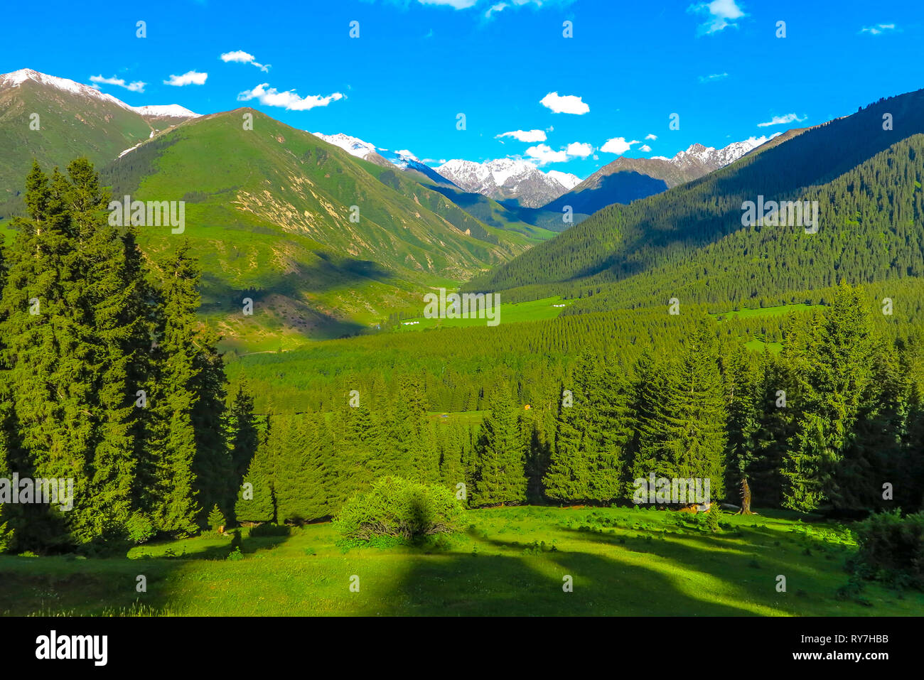 Karakol Gorge Resort with Landscape Snow Capped Terskey Ala Too ...