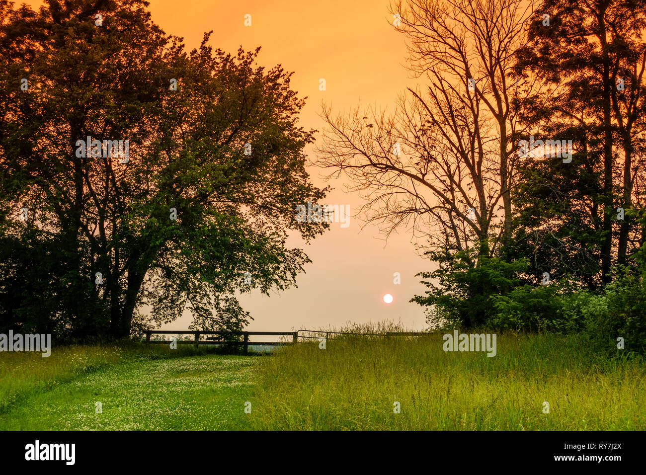 Scenic sunset in the Bluegrass region of Kentucky Stock Photo - Alamy