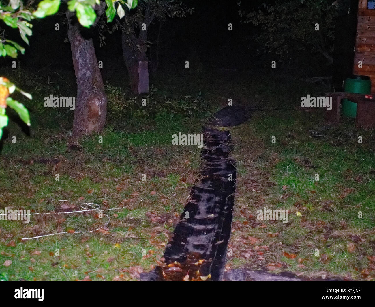 Dark landscape russia hi-res stock photography and images - Alamy