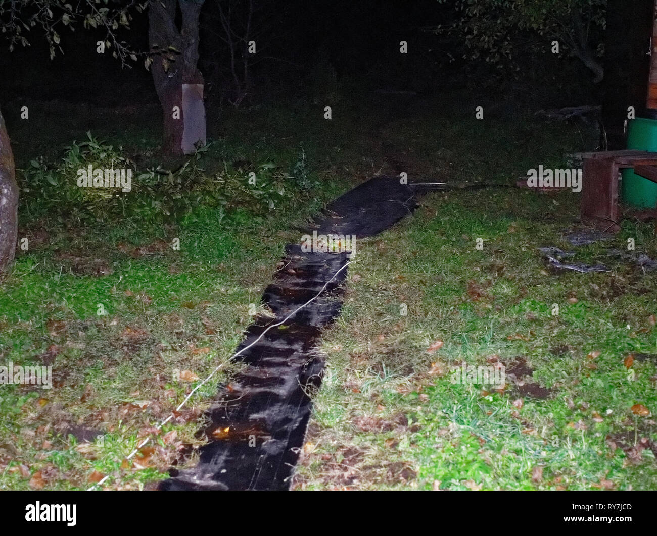 Dark landscape russia hi-res stock photography and images - Alamy