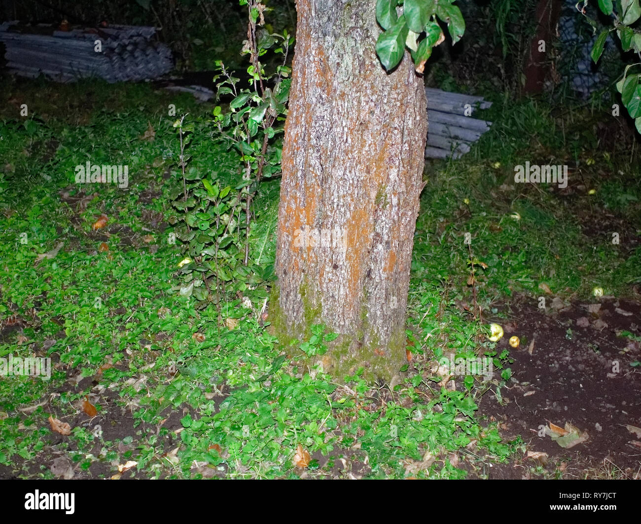 Dark landscape russia hi-res stock photography and images - Alamy