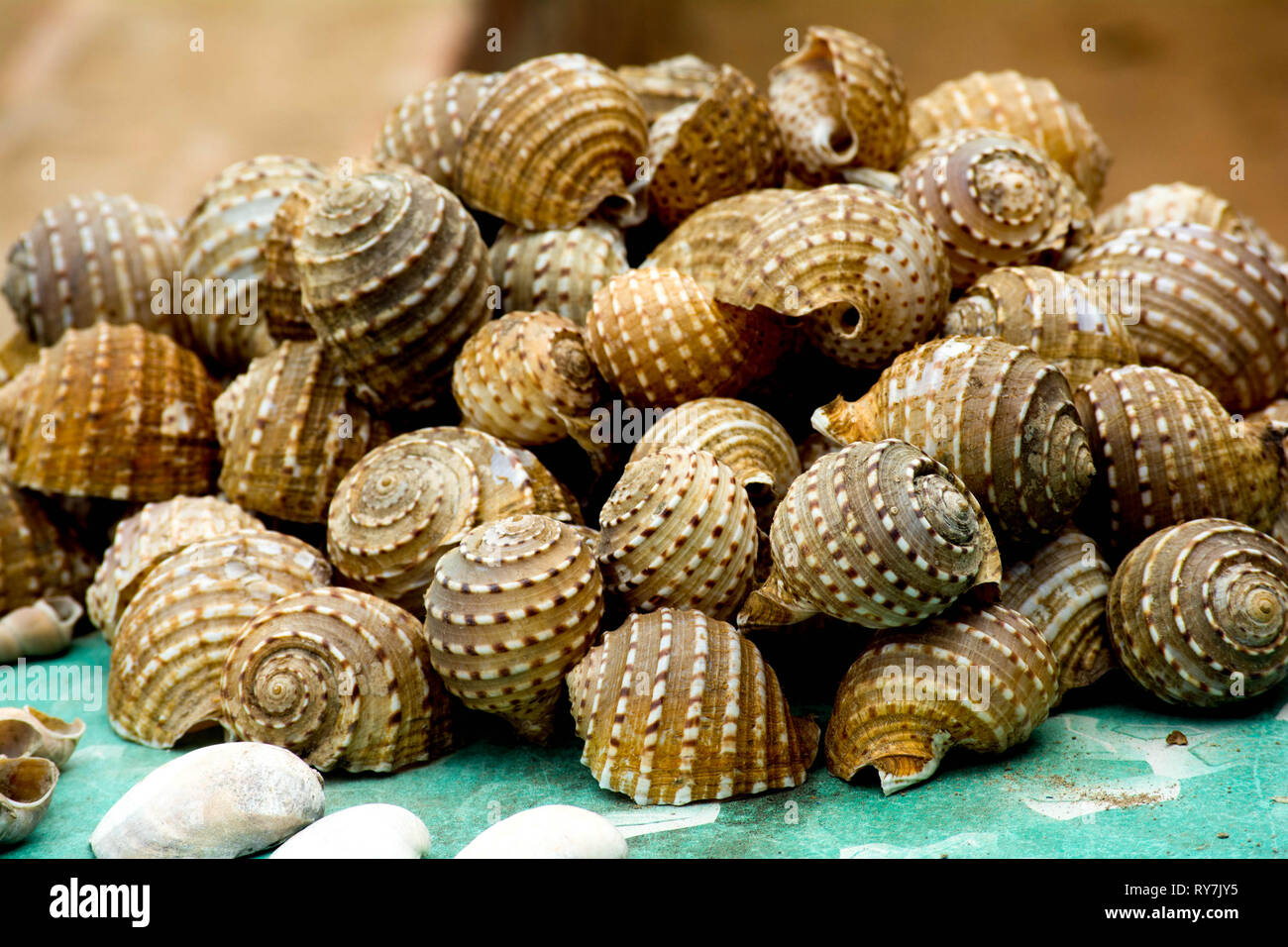 Digha hi-res stock photography and images - Alamy