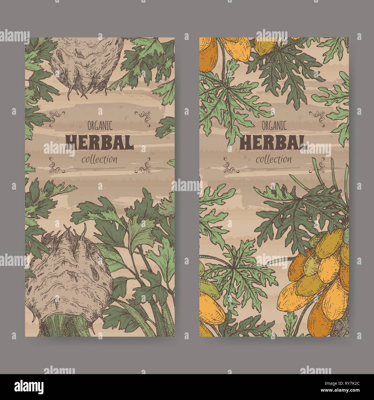 Two labels with apium graveolens aka celery and carica papaya aka ...