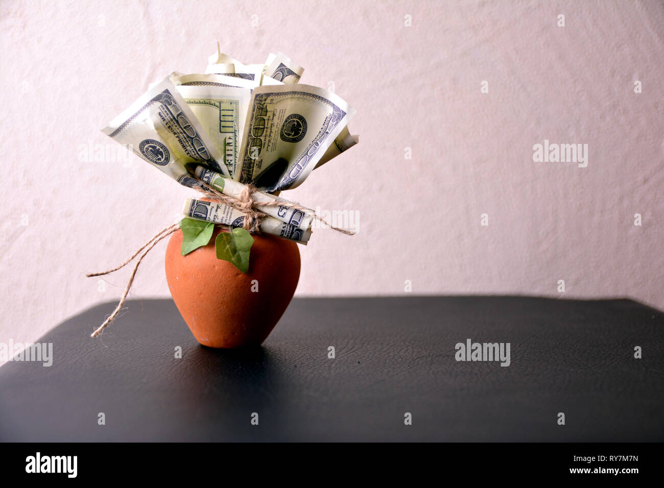 Money tree dollars in white hi-res stock photography and images - Alamy