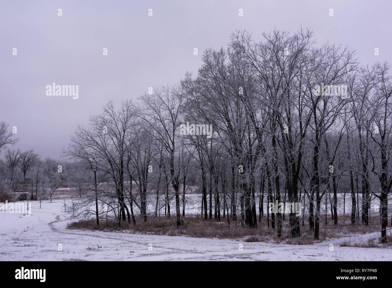 Winter weather in Madison, Wisconsin Stock Photo - Alamy