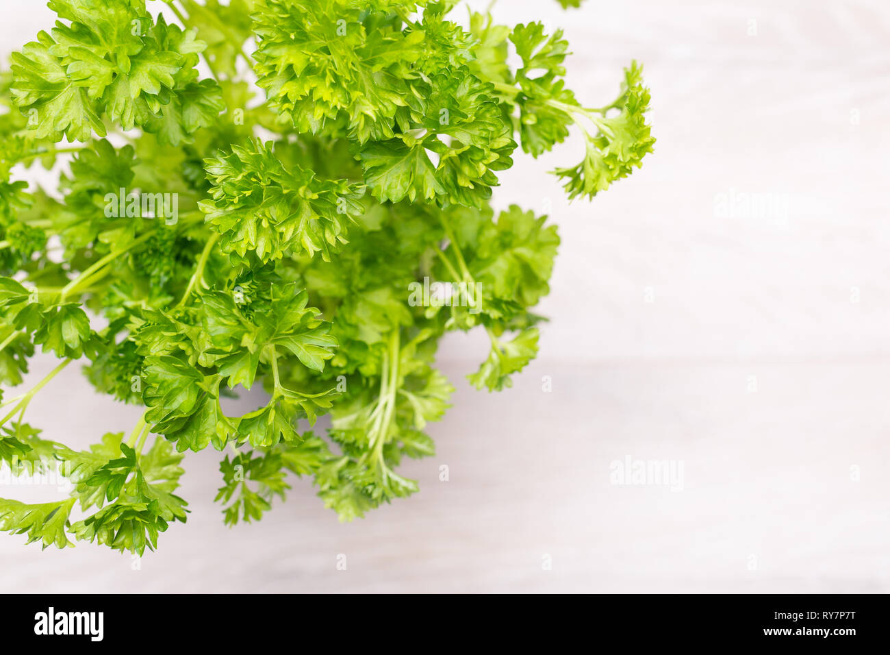 close up of fresh parsley with copy right to the right Stock Photo - Alamy