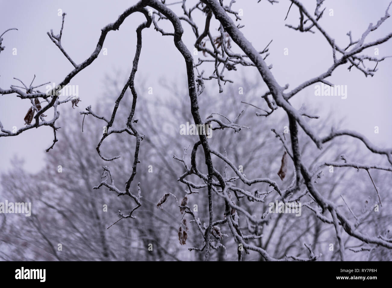 The madison in winter hi-res stock photography and images - Alamy