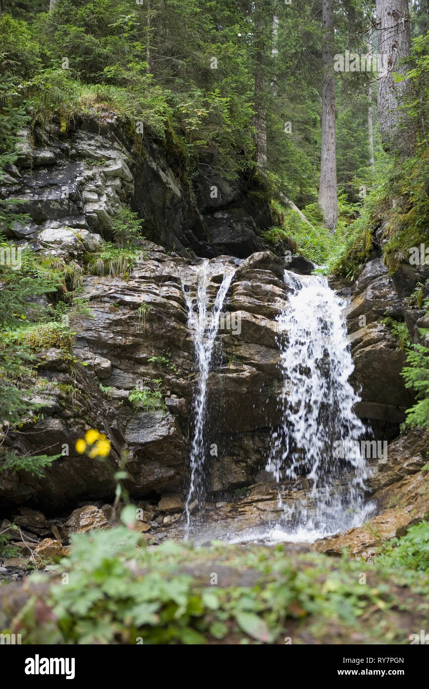 Lovely little waterfall on the Schiltwaldbach stream, Lauterbrunnental ...