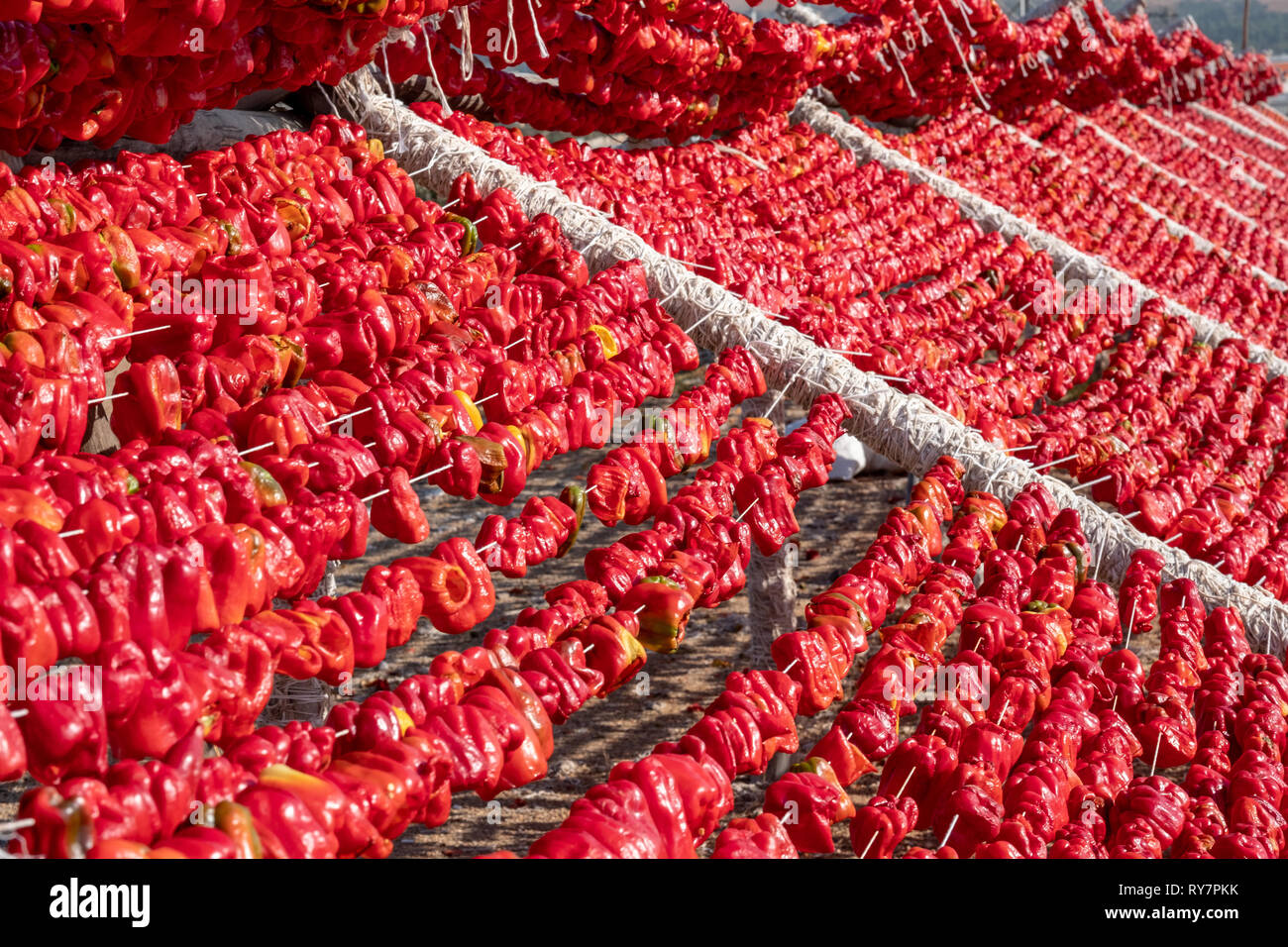 Dried vegetables in the line at farm Stock Photo - Alamy
