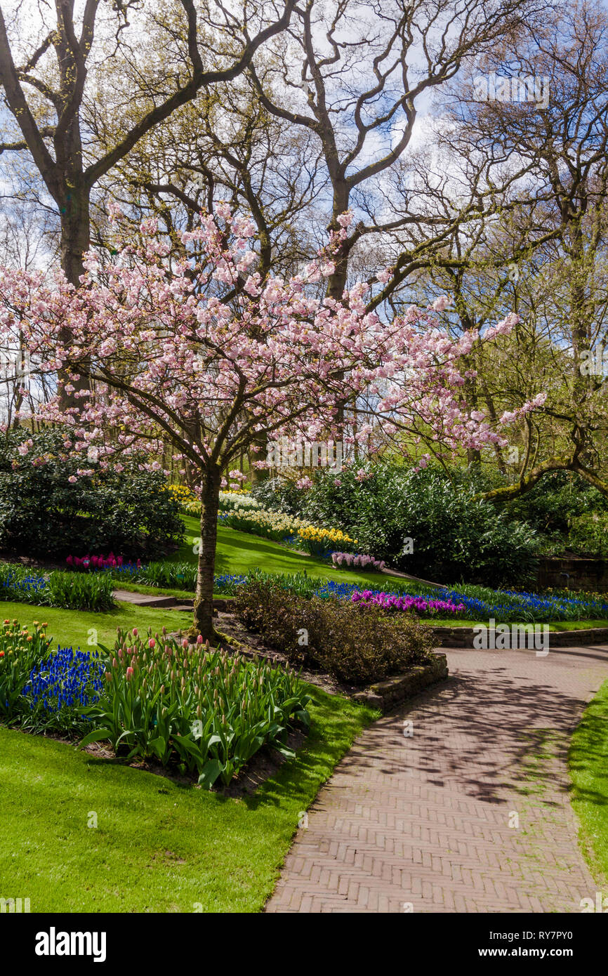 A Sunny day in the park. Beautiful landscape Stock Photo - Alamy