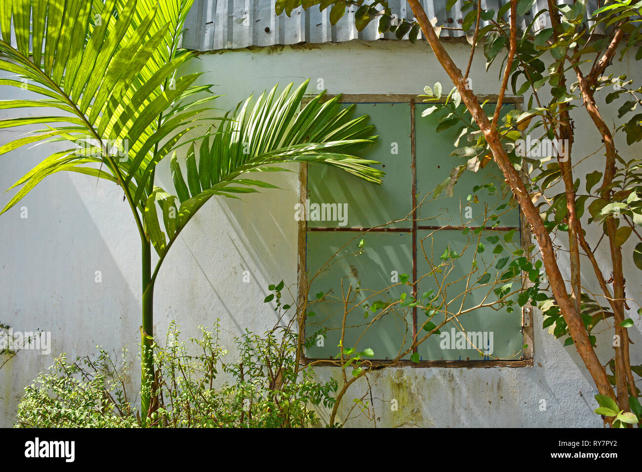 A window in a building in a rural part of Can Tho in Vietnam's Mekong ...