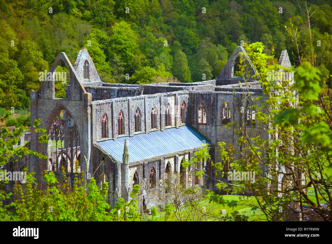 Tintern Abbey, Wye Valley, Monmouthshire, Gwent, South East Wales, UK ...