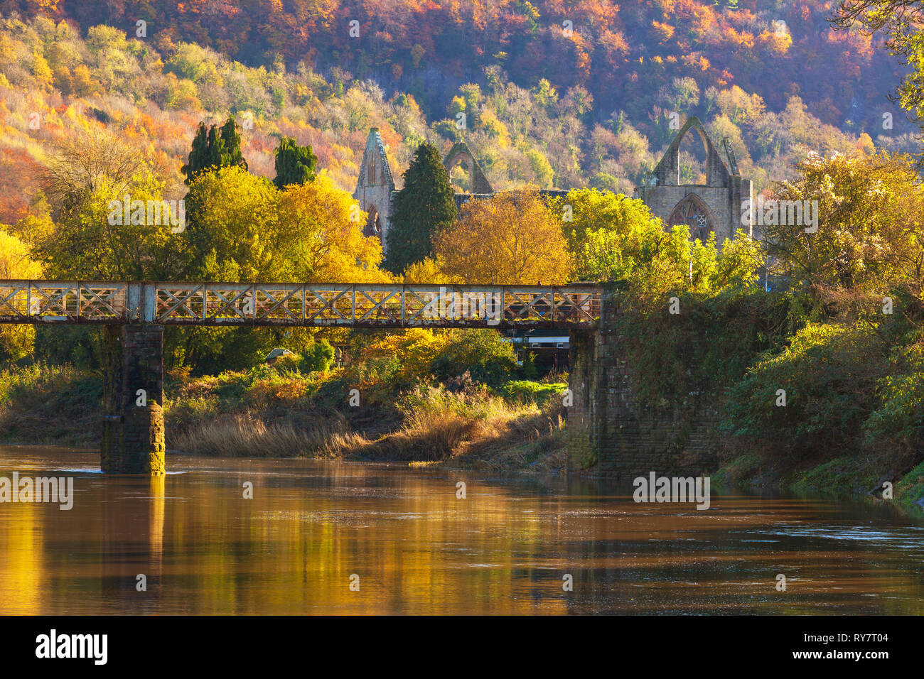 Tintern Abbey, Wye Valley, Monmouthshire, Gwent, South East Wales, UK ...