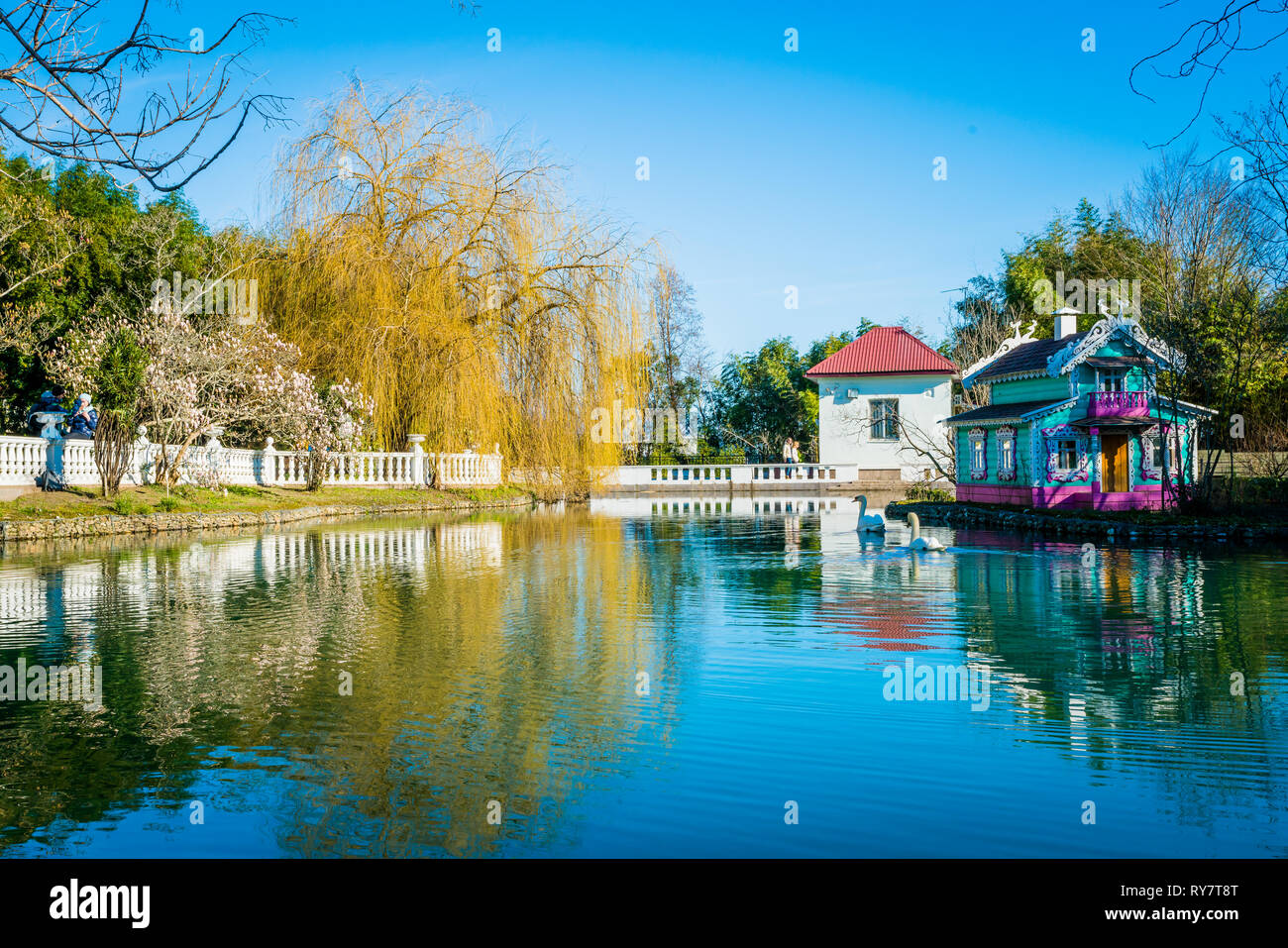 pond in a park Stock Photo - Alamy
