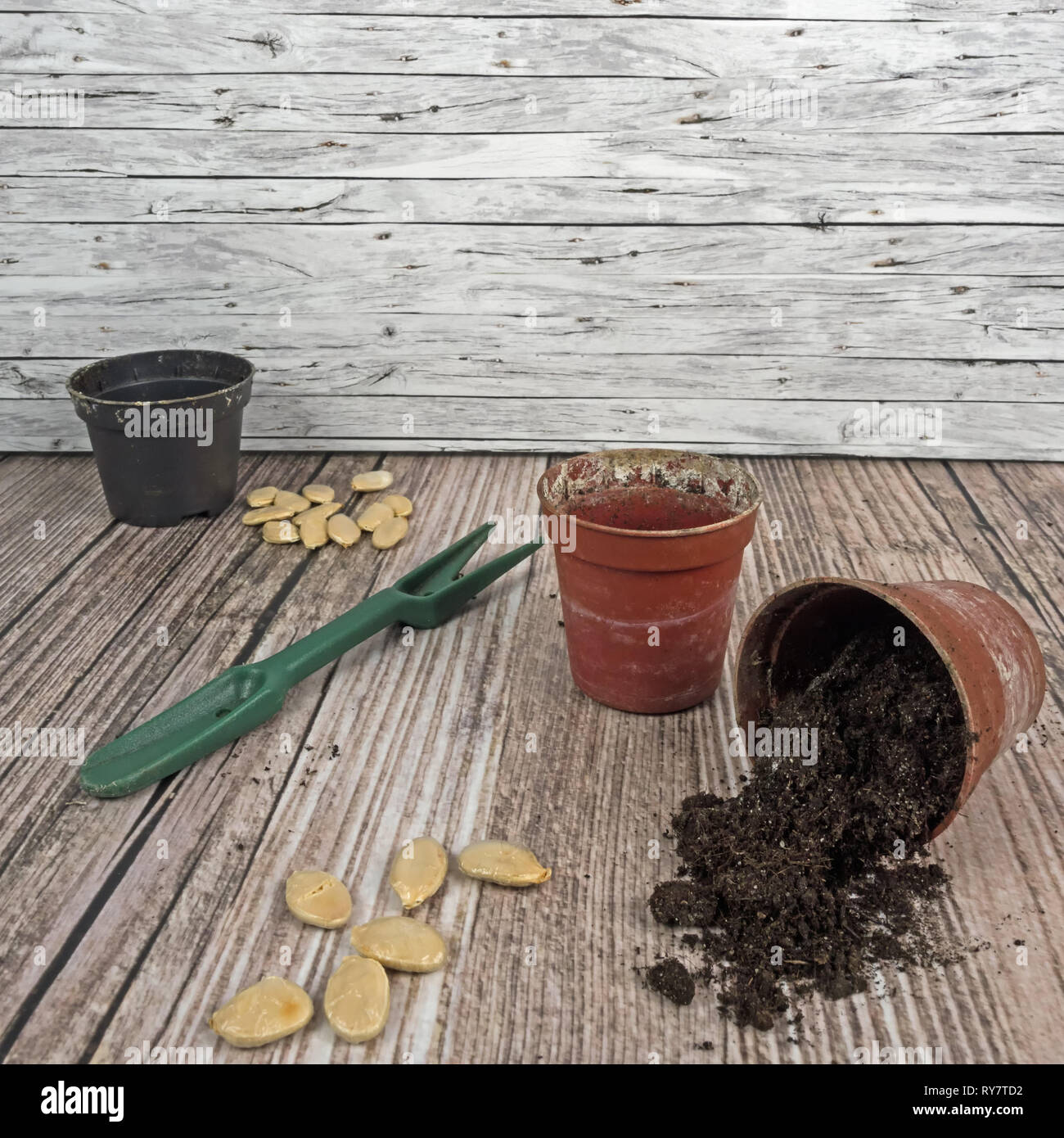 Sowing plants hi-res stock photography and images - Alamy