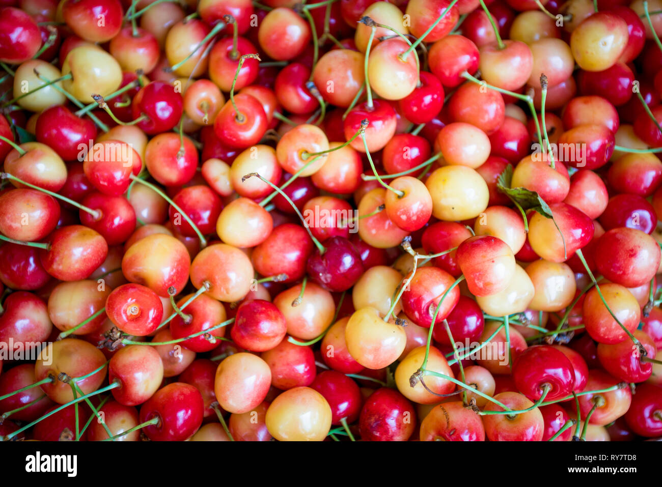 red cherry background. Red ripe delicious cherries Stock Photo - Alamy