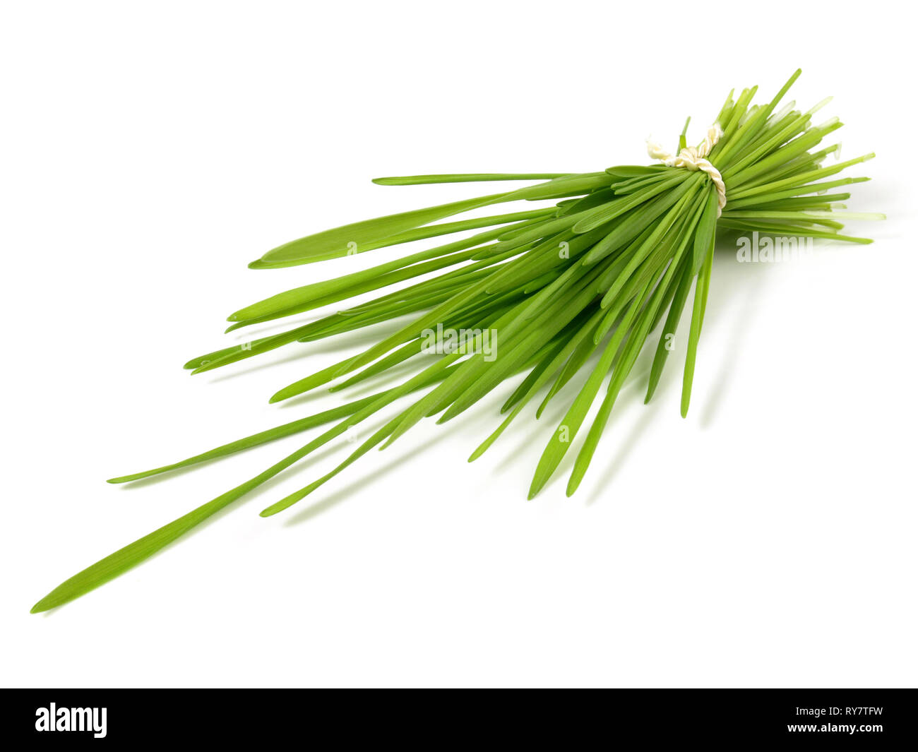 Barley bundle Cut Out Stock Images & Pictures - Alamy