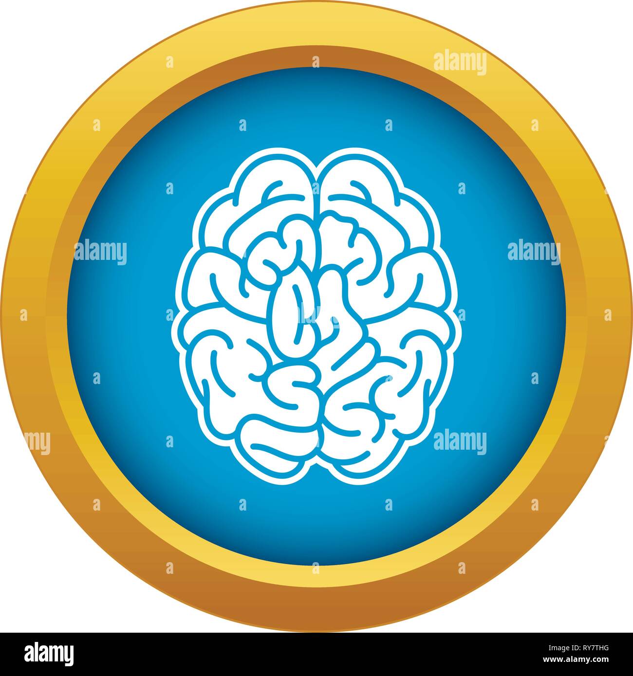 Brain mind icon blue vector isolated Stock Vector Image & Art - Alamy