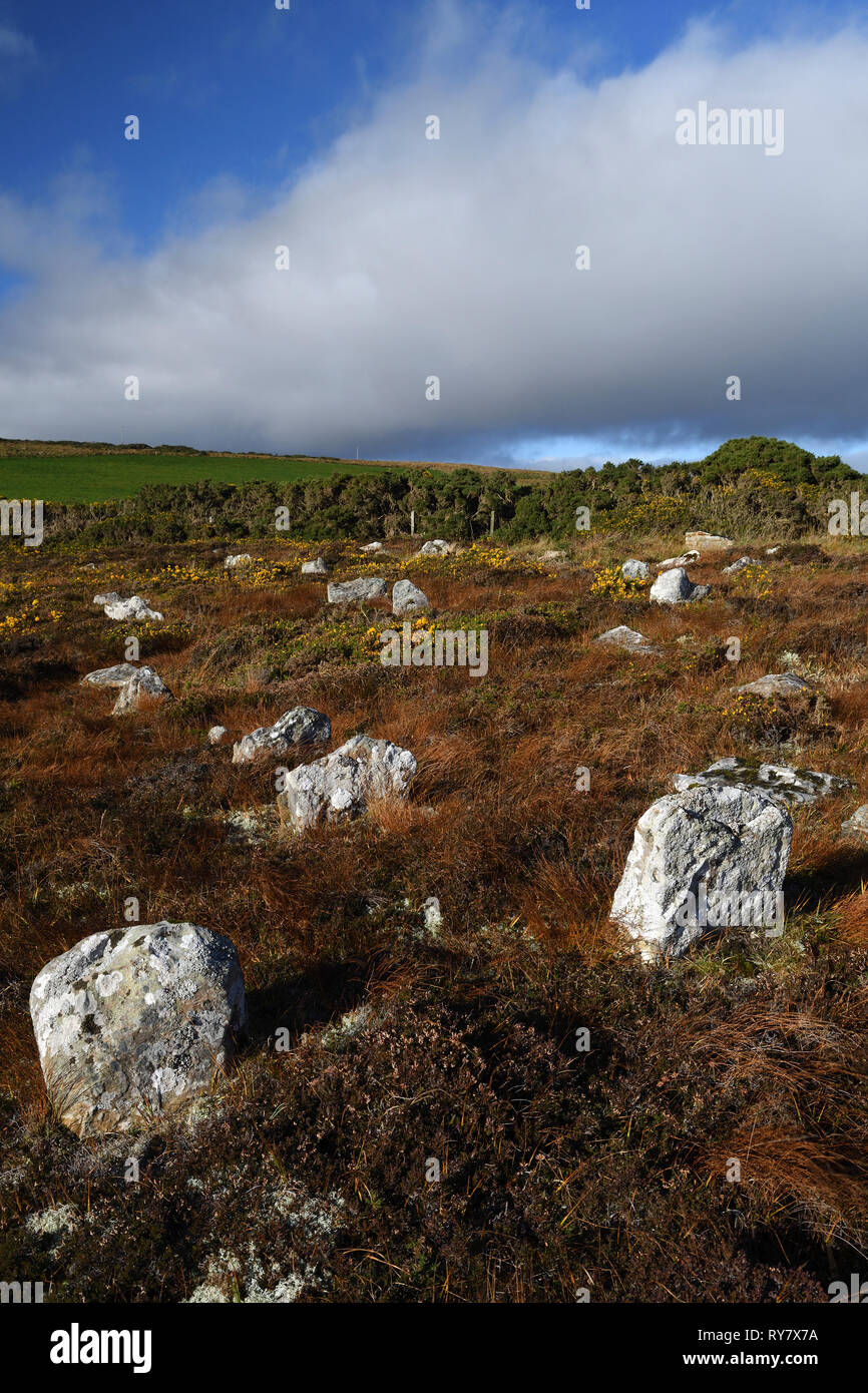 hill o'many stanes;stone row;mid-clyth;caithness;scotland Stock Photo ...