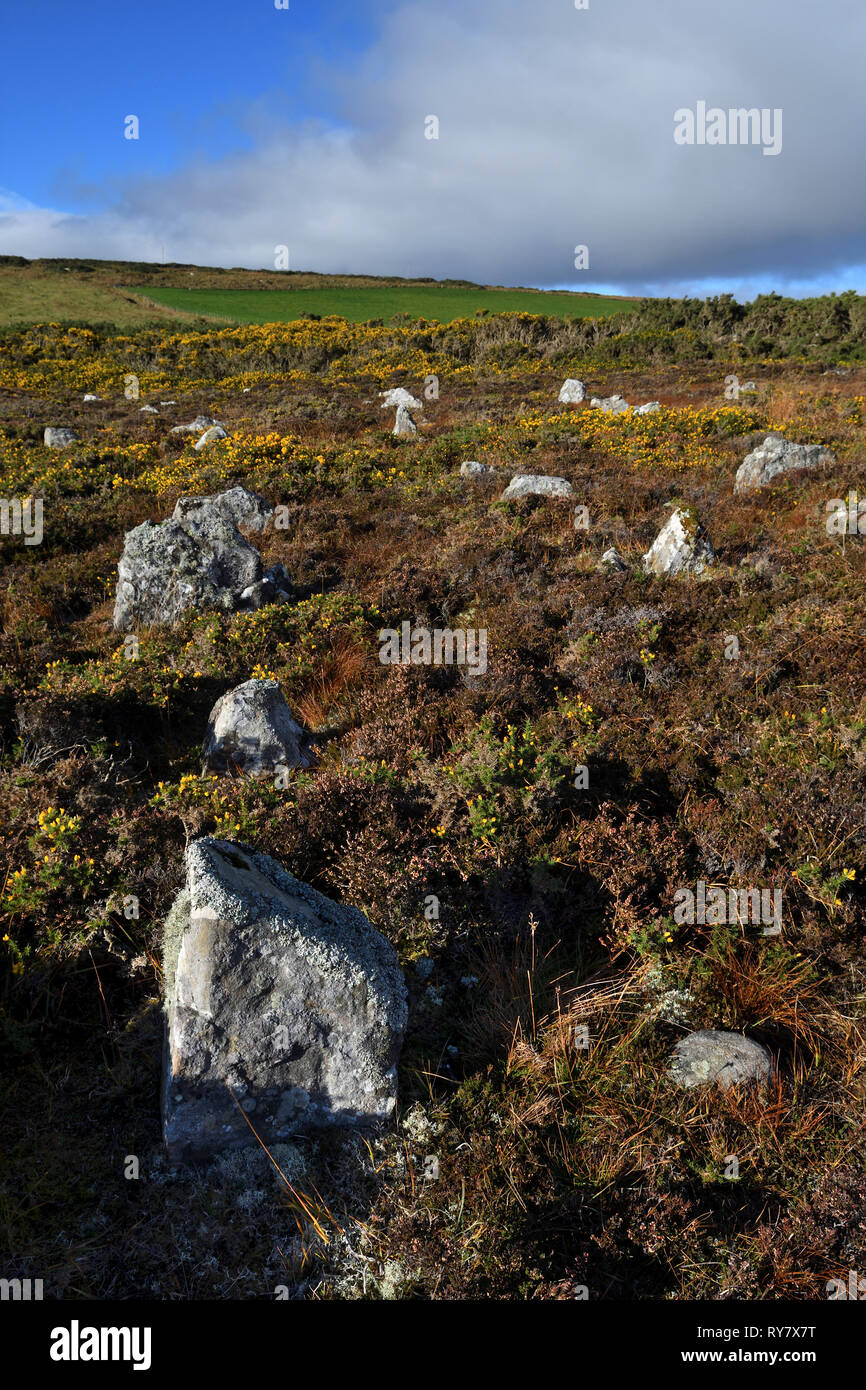 Clyth hi-res stock photography and images - Alamy