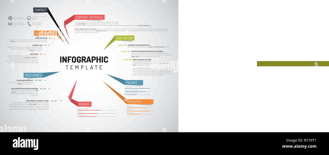Vector Company infographic overview design template with colorful ...