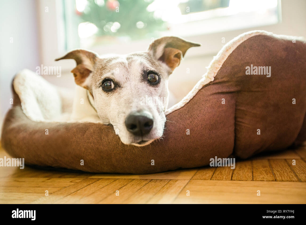 Couple under sheets hi-res stock photography and images - Alamy