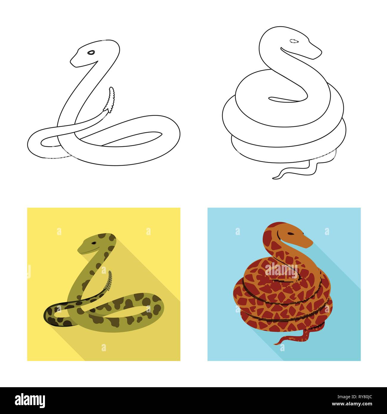 snake,python,animal,green,jungle,forest,anaconda,tail,spiral,mammal ...