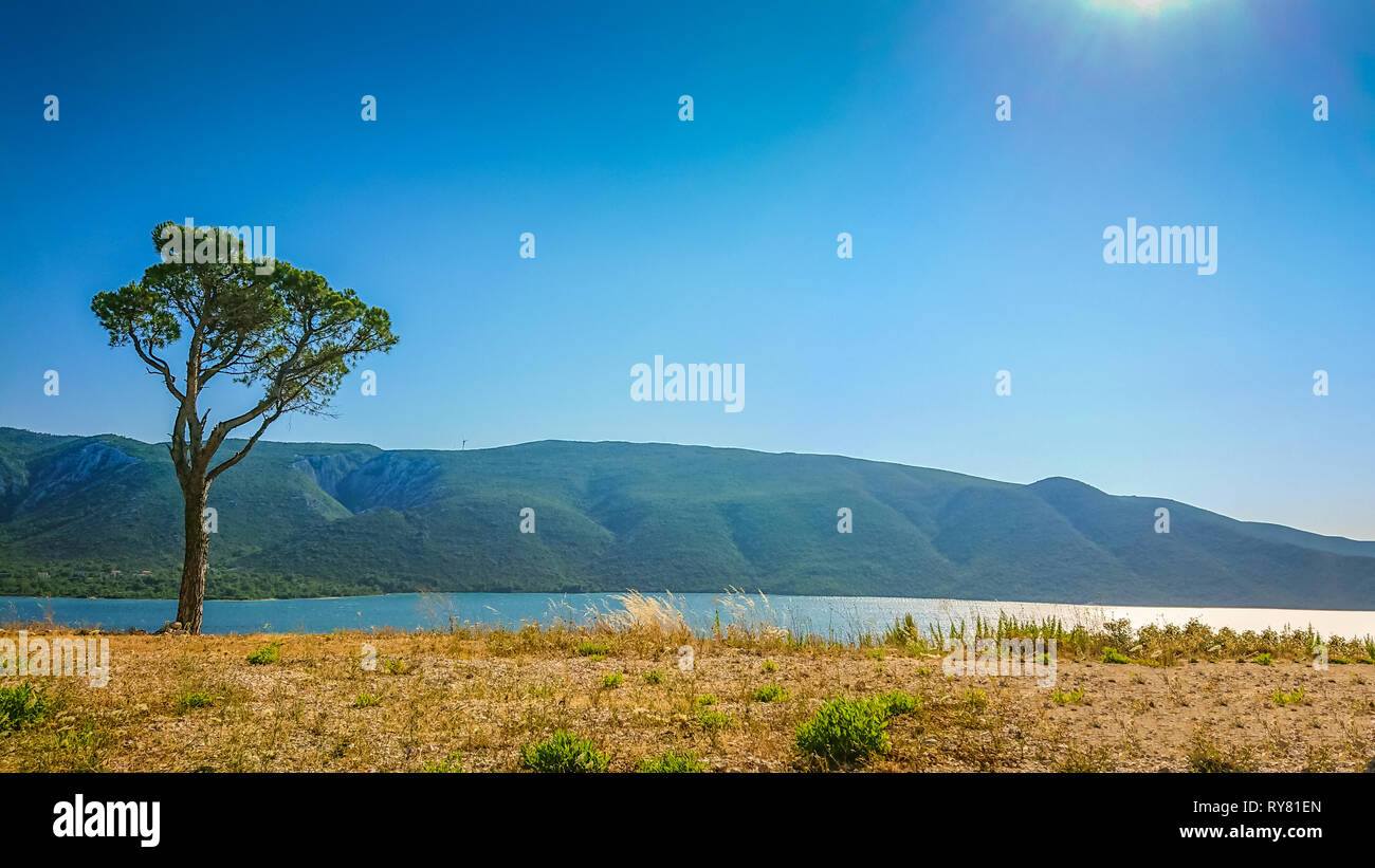 Lonely cyprus hi-res stock photography and images - Alamy