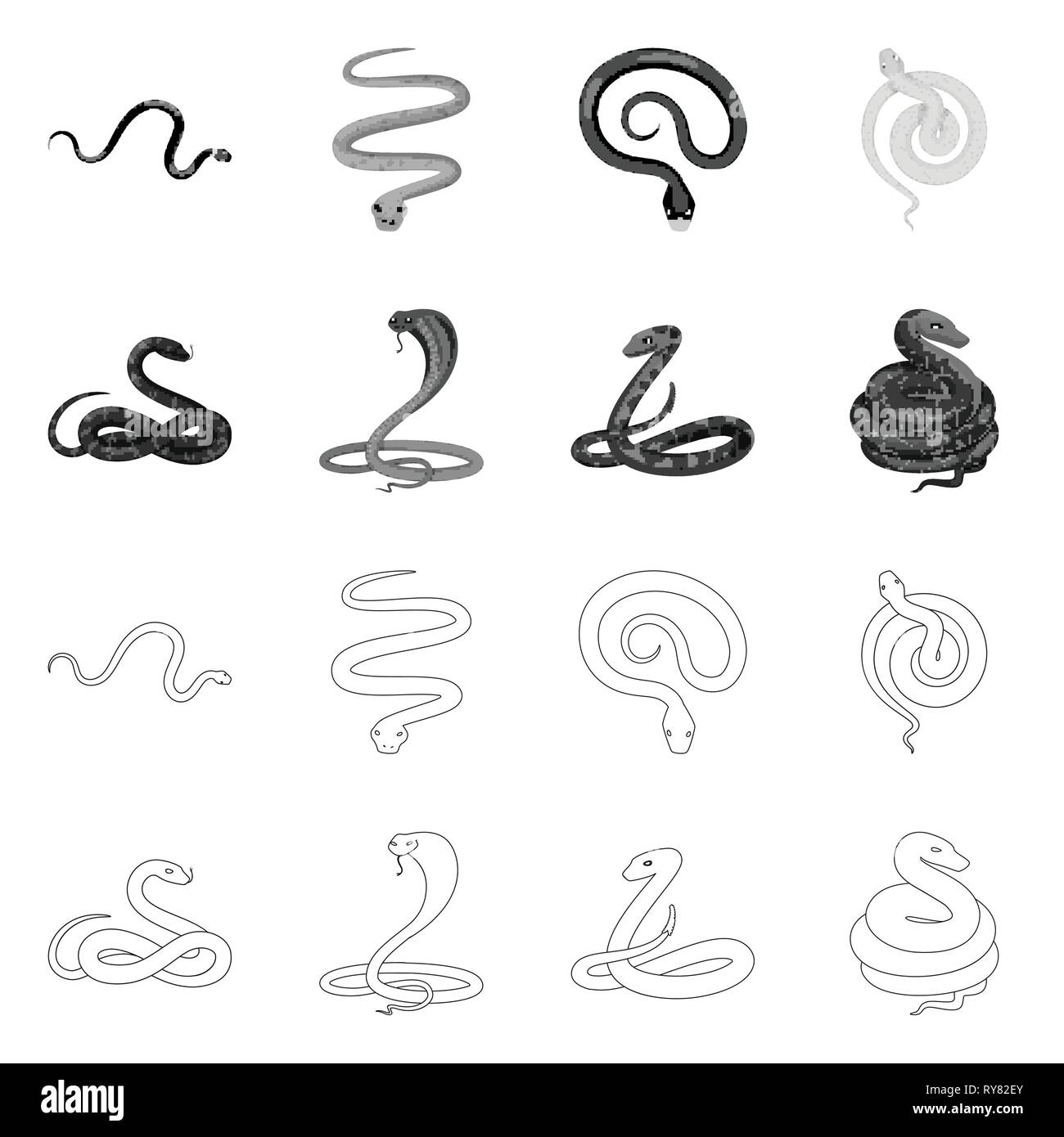 animal,snake,viper,anaconda,cobra,tail,coral,white,python,pink,spiral ...