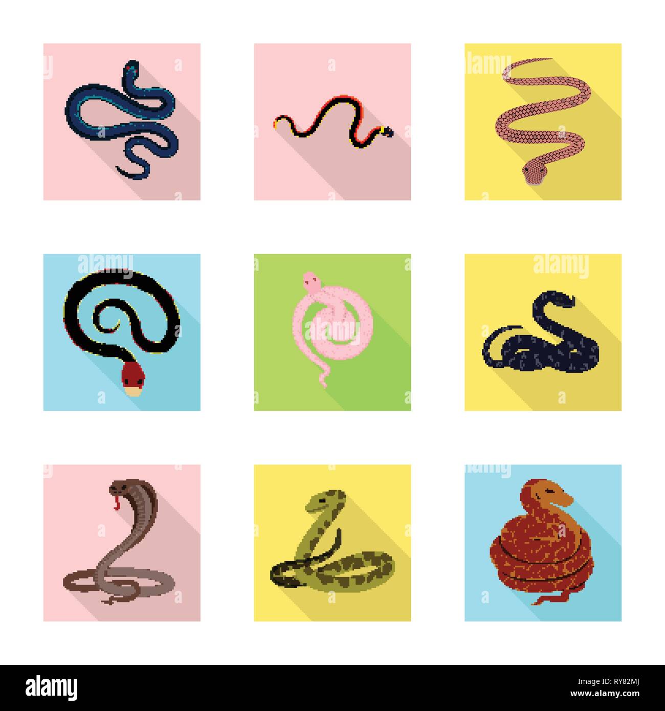 amphibian,animal,snake,viper,anaconda,cobra,tail,coral,white,python ...