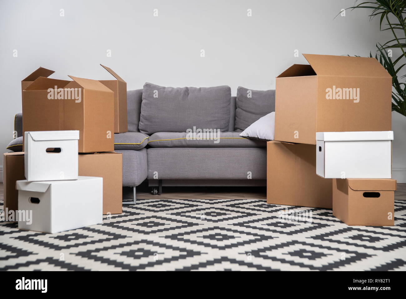 Cardboard boxes, gray sofa, carpet in room Stock Photo - Alamy