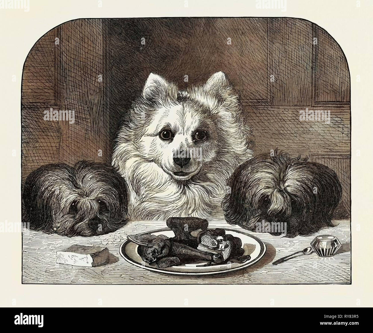 Victorian engraving hi-res stock photography and images - Alamy