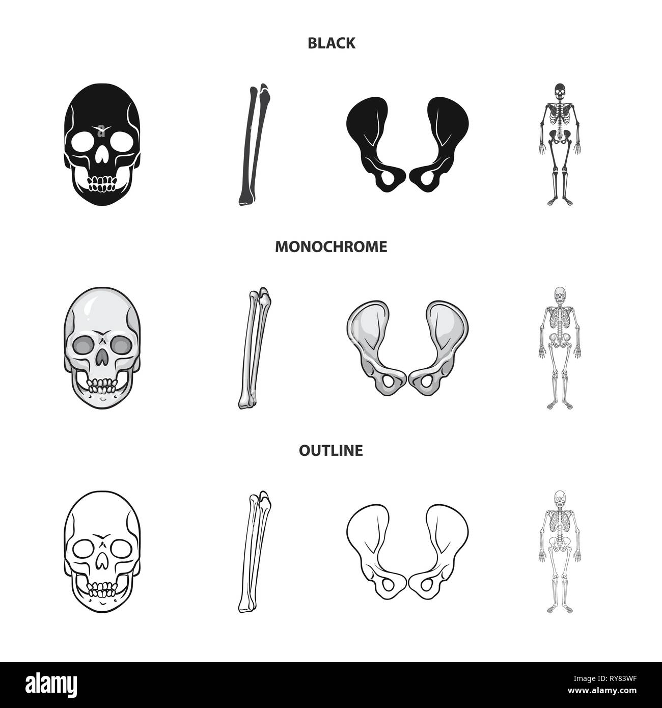 skull,femur,hip,musculoskeletal,death,joint,scientific,monster,leg ...