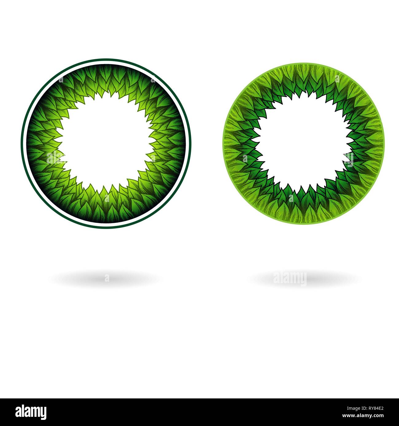Two circle frames with inner leaves isolated on white background Stock ...