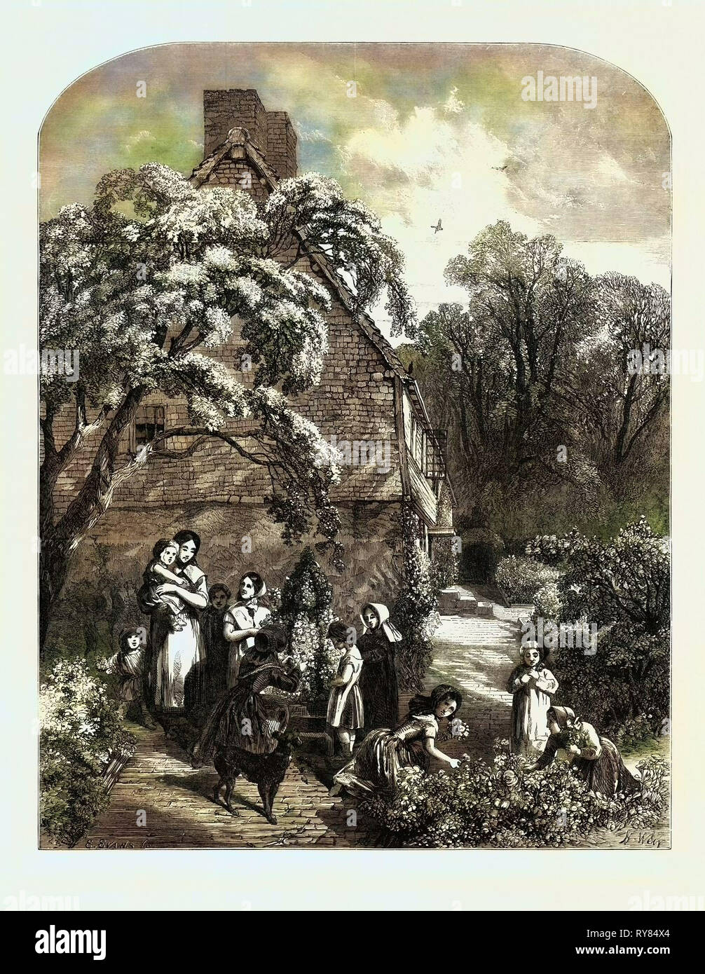 The May Garland Stock Photo - Alamy