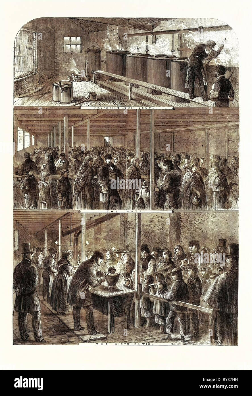 Cotton famine hi-res stock photography and images - Alamy