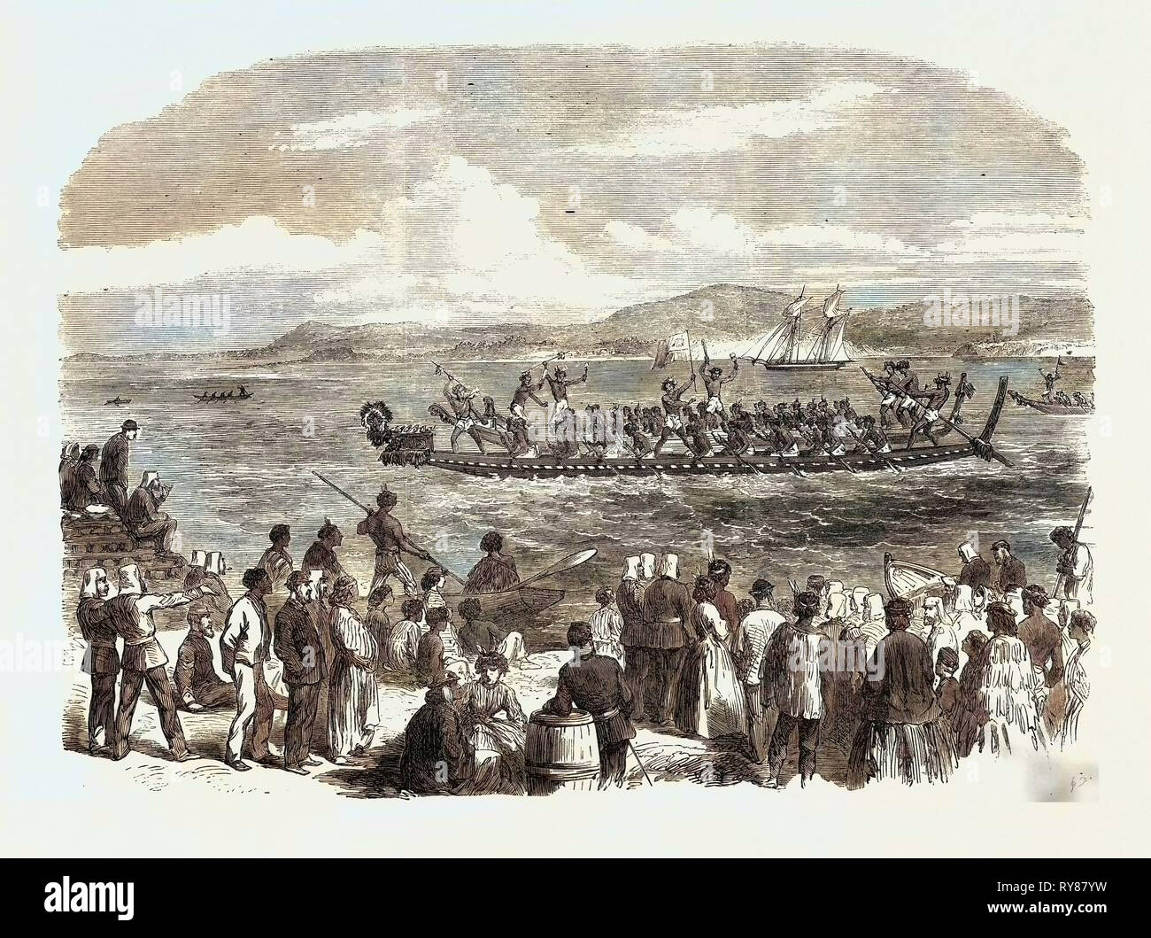 Native Games at Te Papa Camp Tauranga New Zealand: War Canoes Competing ...