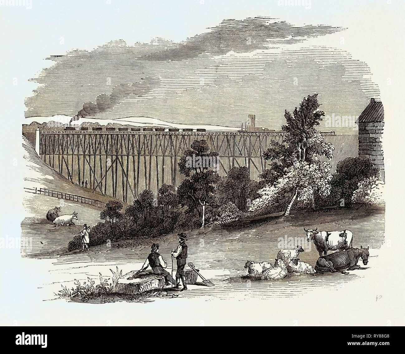 Transport timber on railway hi-res stock photography and images - Alamy